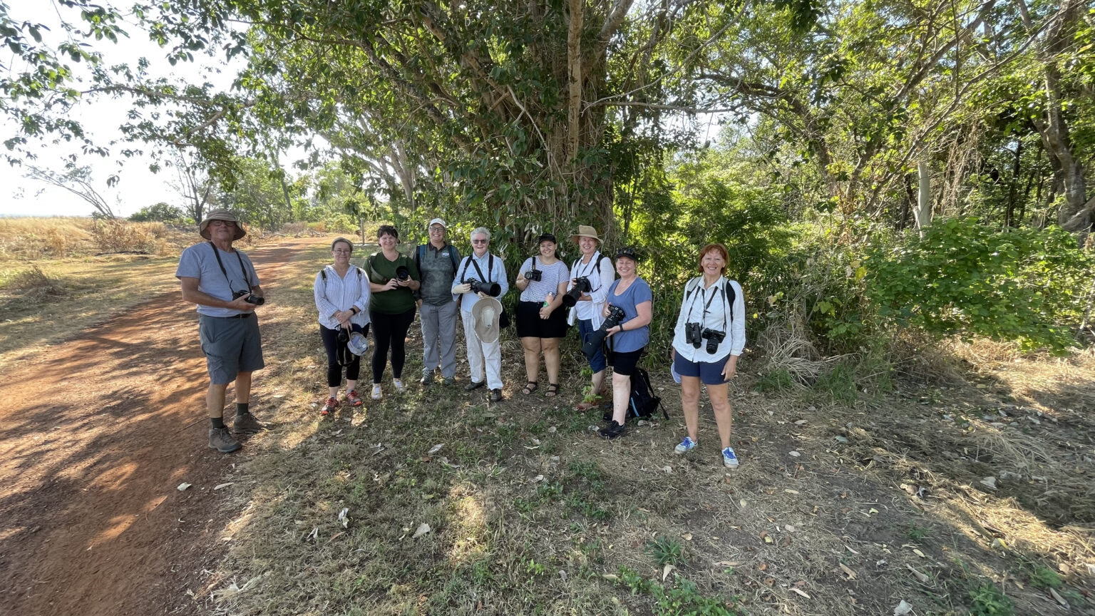 Flatback turtle nesting | Friends of Casuarina Coastal Reserve